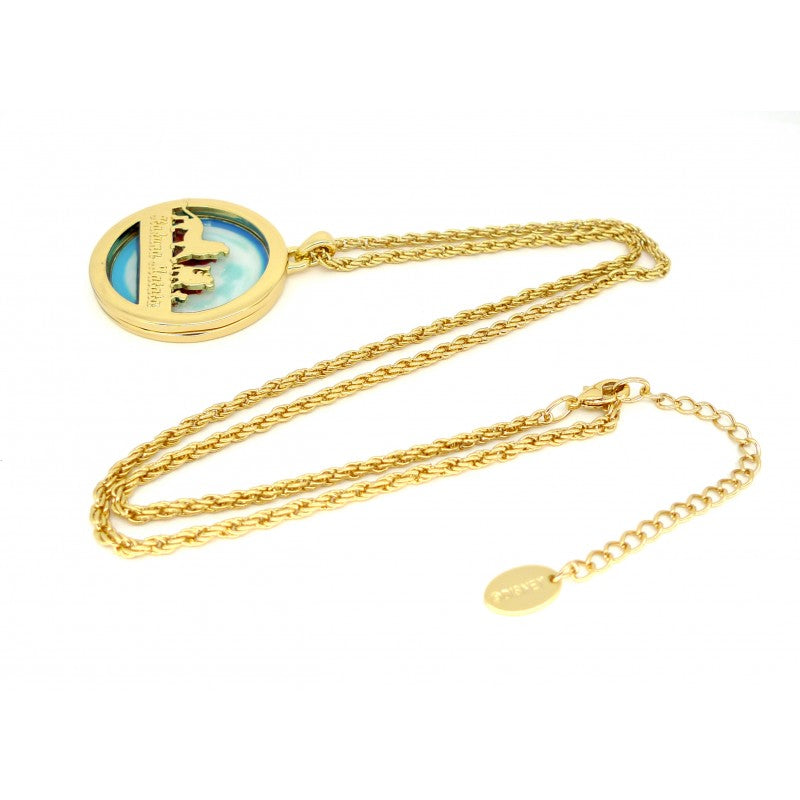 Disney by Couture Kingdom The Lion King Hakuna Matata Locket Style Nec ...